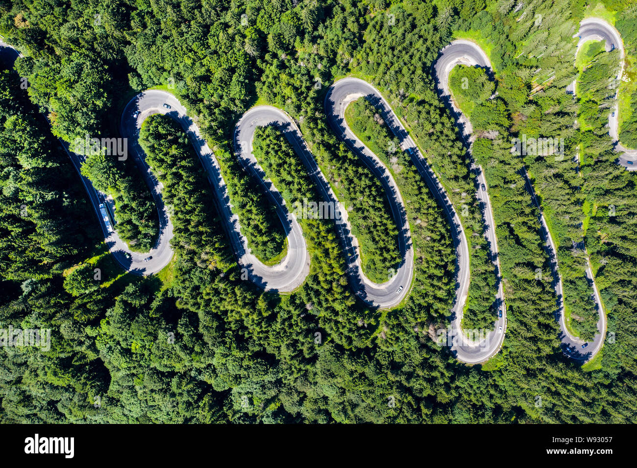 Aerial top view of a winding road in green forest by drone Stock Photo ...