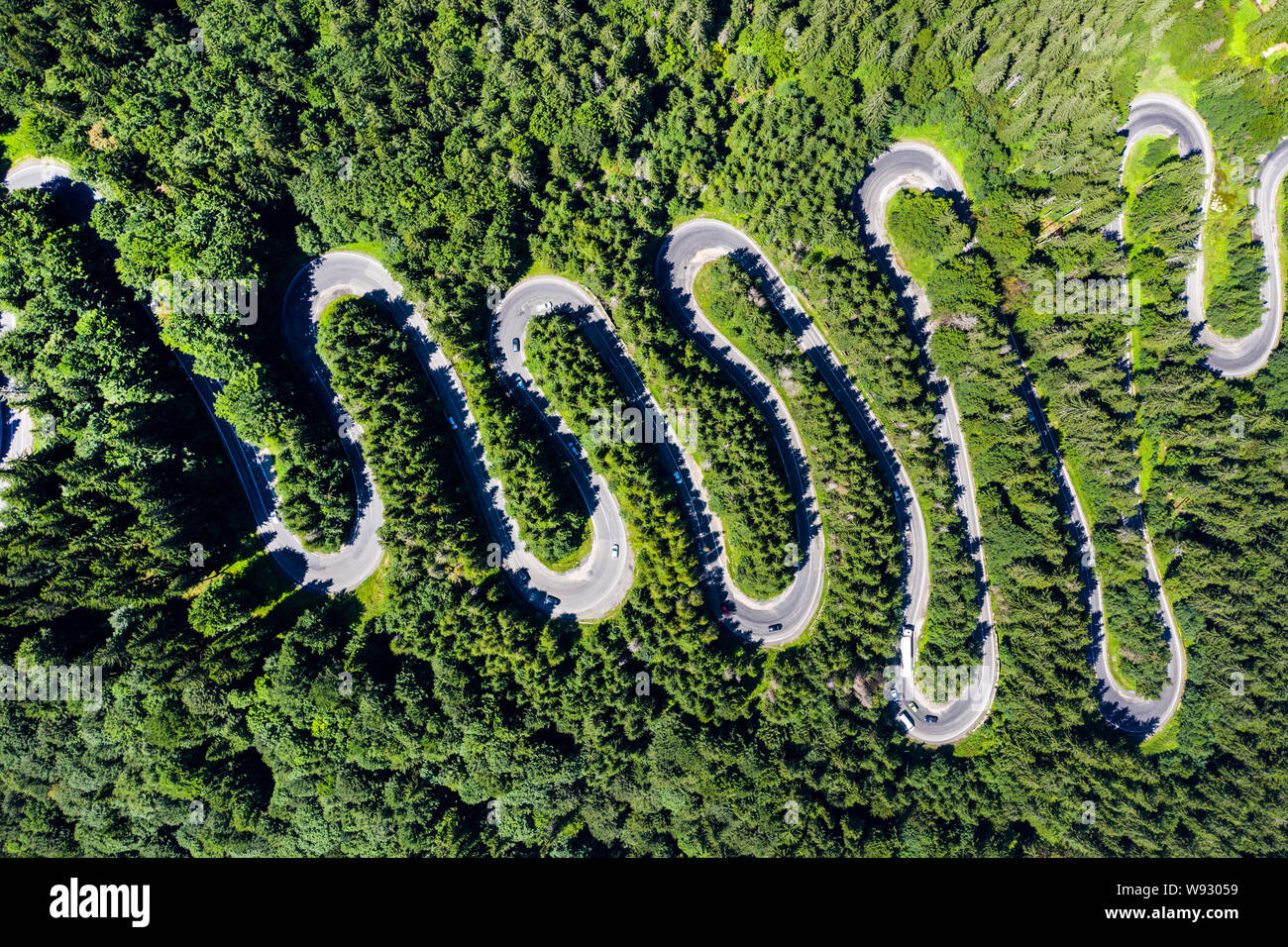 Aerial top view of a winding road in green forest by drone Stock Photo ...