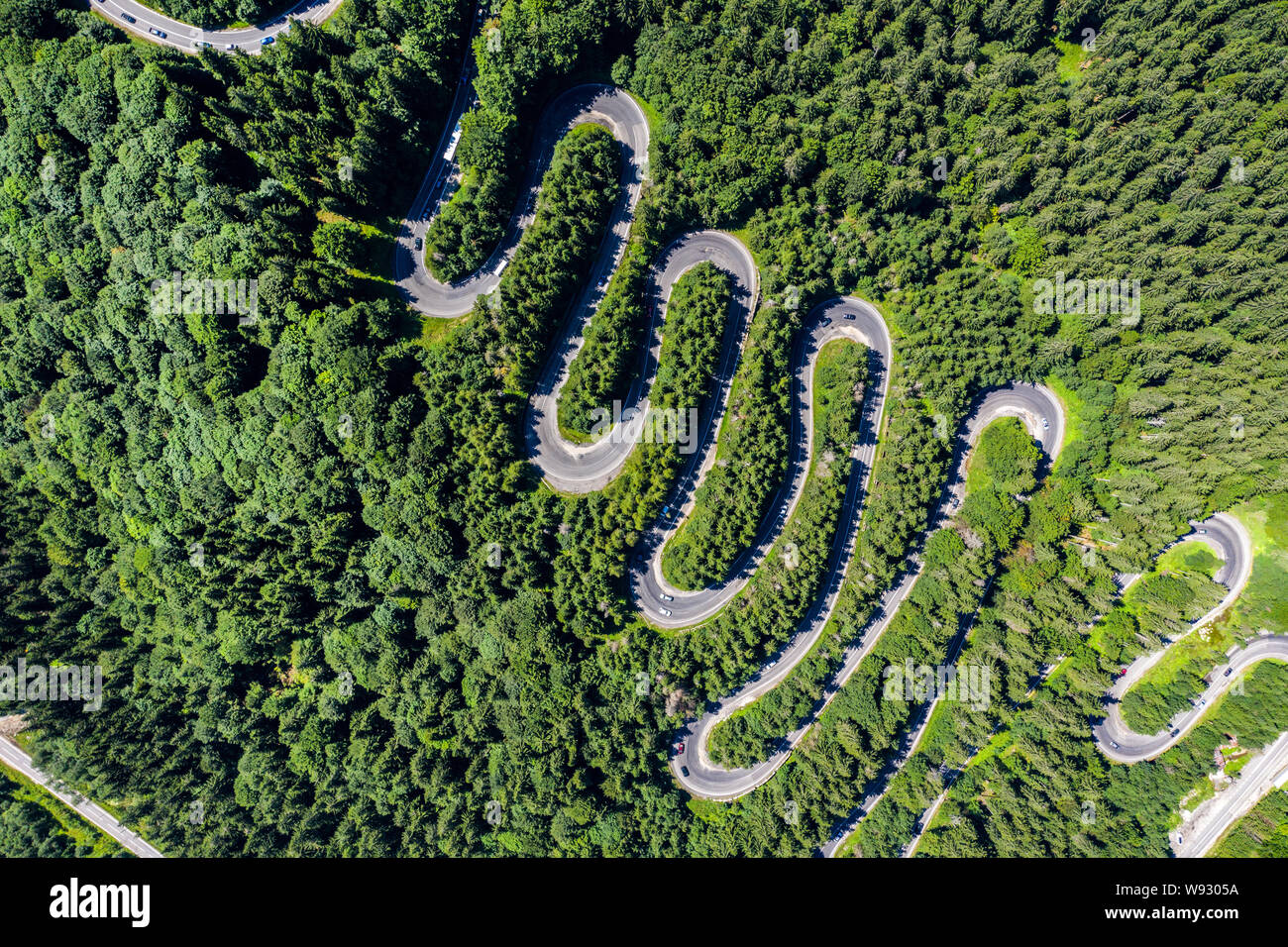 Aerial top view of a winding road in green forest by drone Stock Photo ...