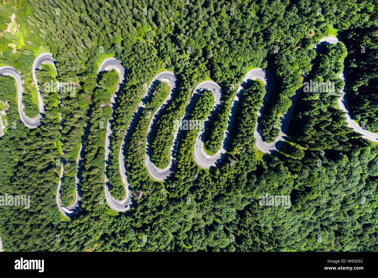 Aerial top view of a winding road in green forest by drone Stock Photo ...