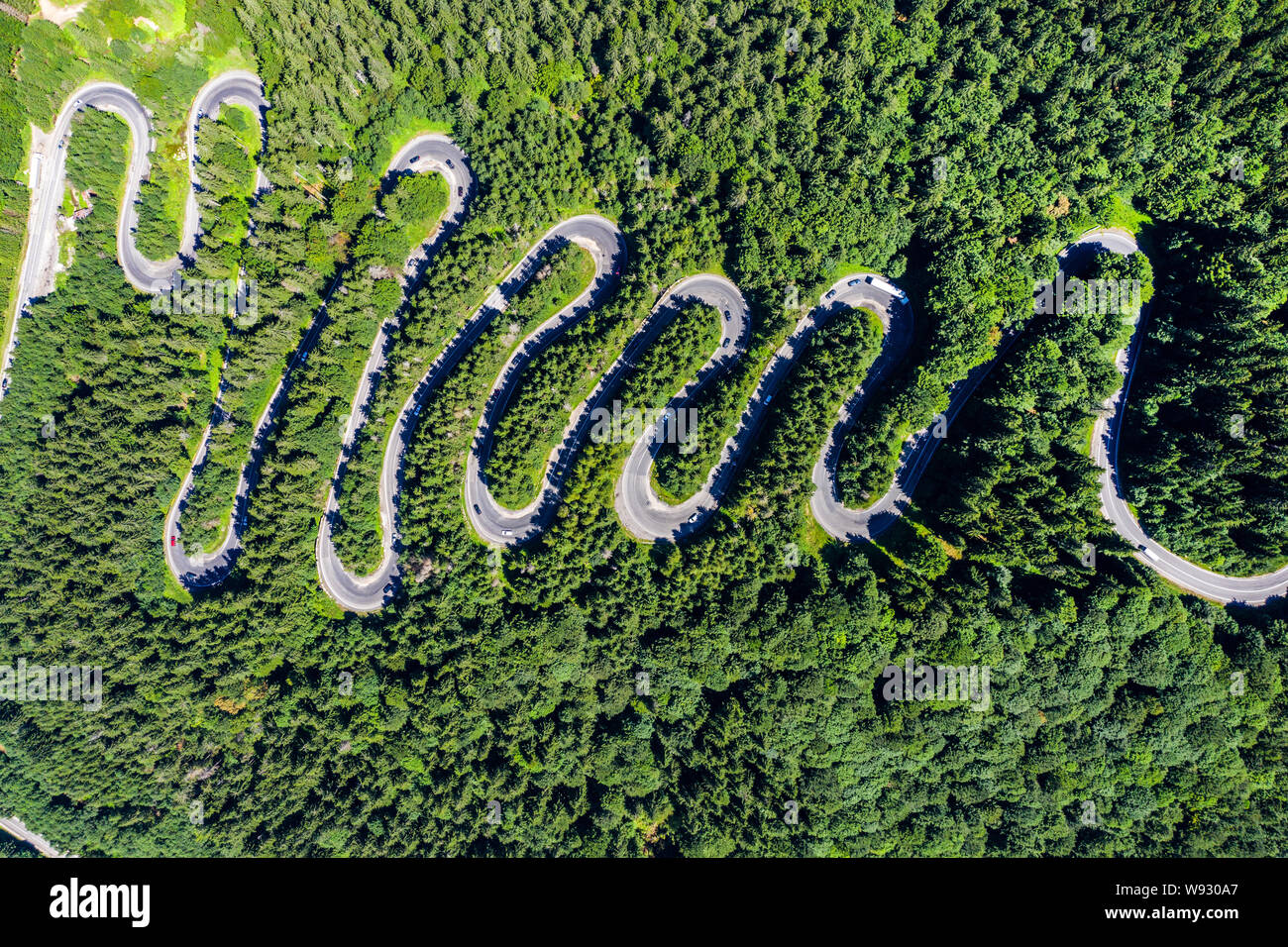 Aerial top view of a winding road in green forest by drone Stock Photo ...
