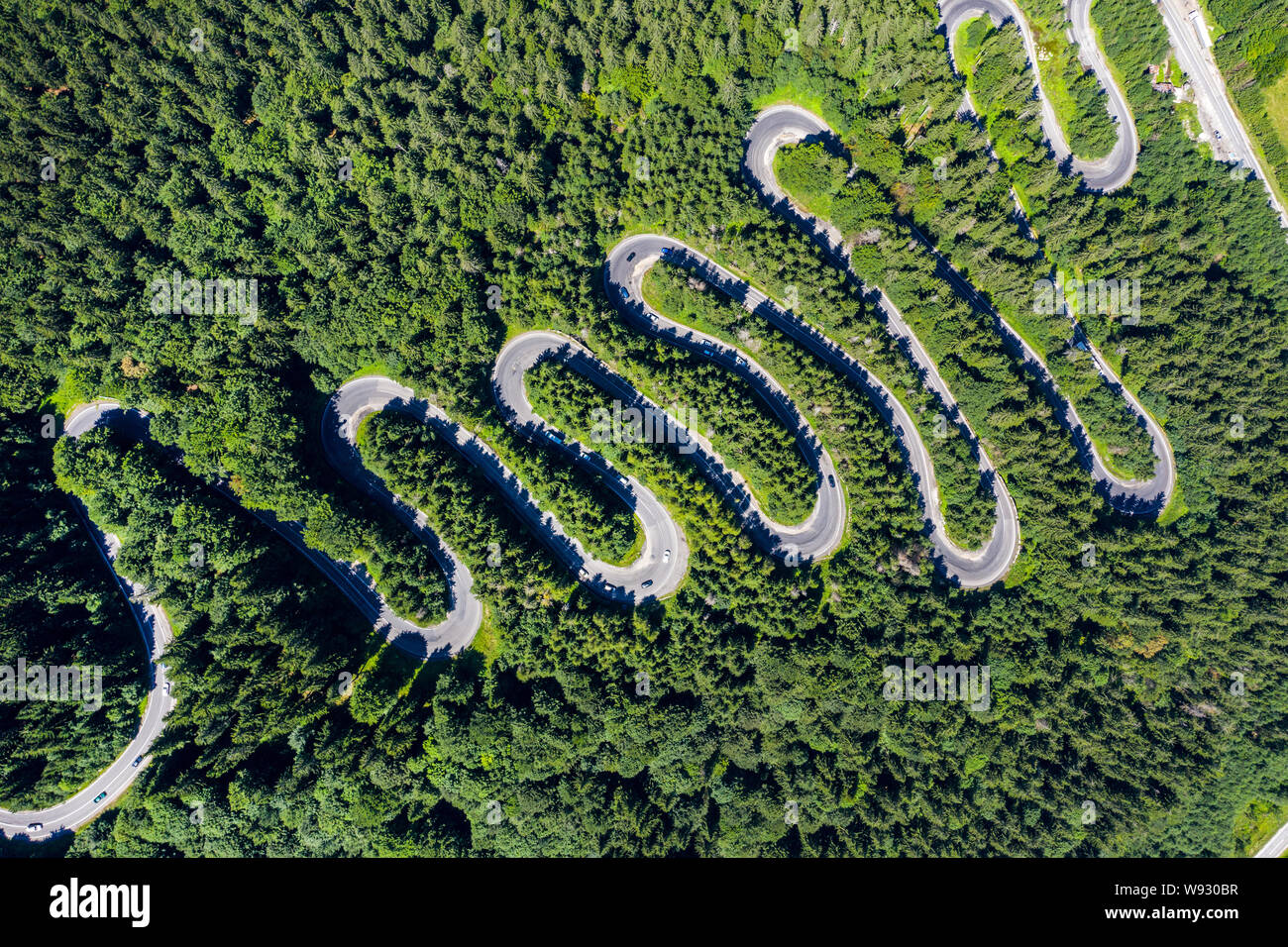 Aerial top view of a winding road in green forest by drone Stock Photo ...