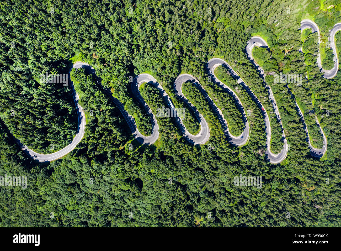 Aerial top view of a winding road in green forest by drone Stock Photo ...