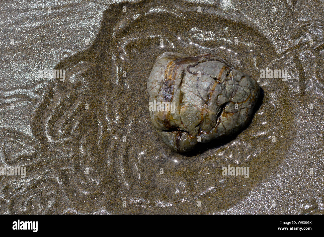 Stone in the sun on the sand at the beach Stock Photo - Alamy
