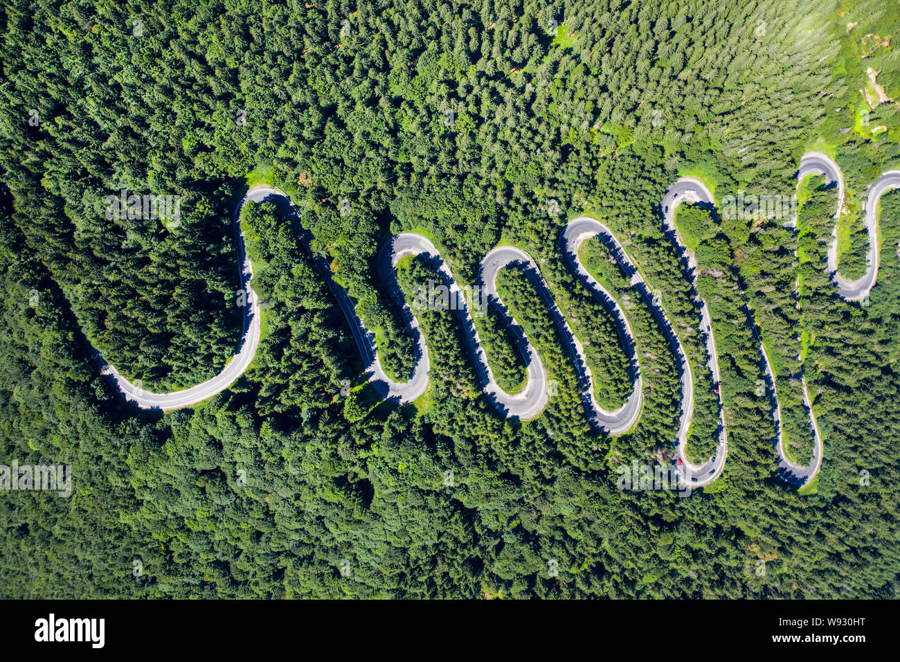 Aerial top view of a winding road in green forest by drone Stock Photo ...