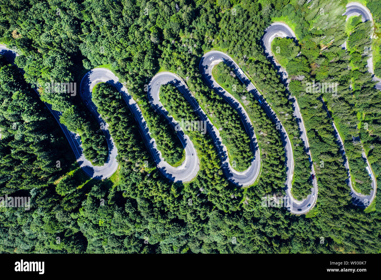 Aerial top view of a winding road in green forest by drone Stock Photo ...
