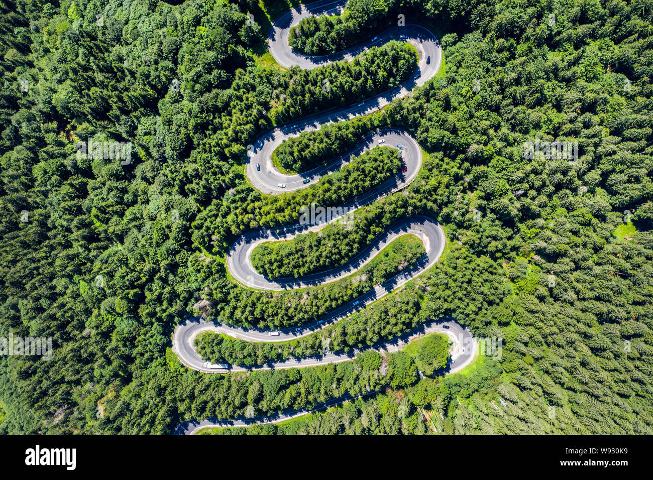 Aerial top view of a winding road in green forest by drone Stock Photo ...