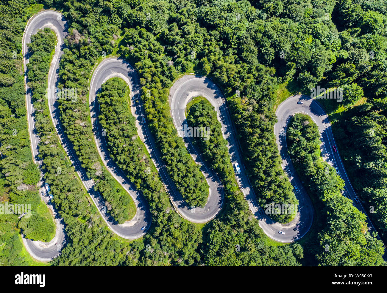 Aerial top view of a winding road in green forest by drone Stock Photo ...