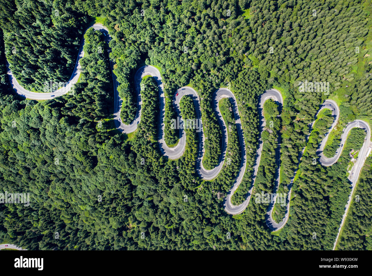Aerial top view of a winding road in green forest by drone Stock Photo ...