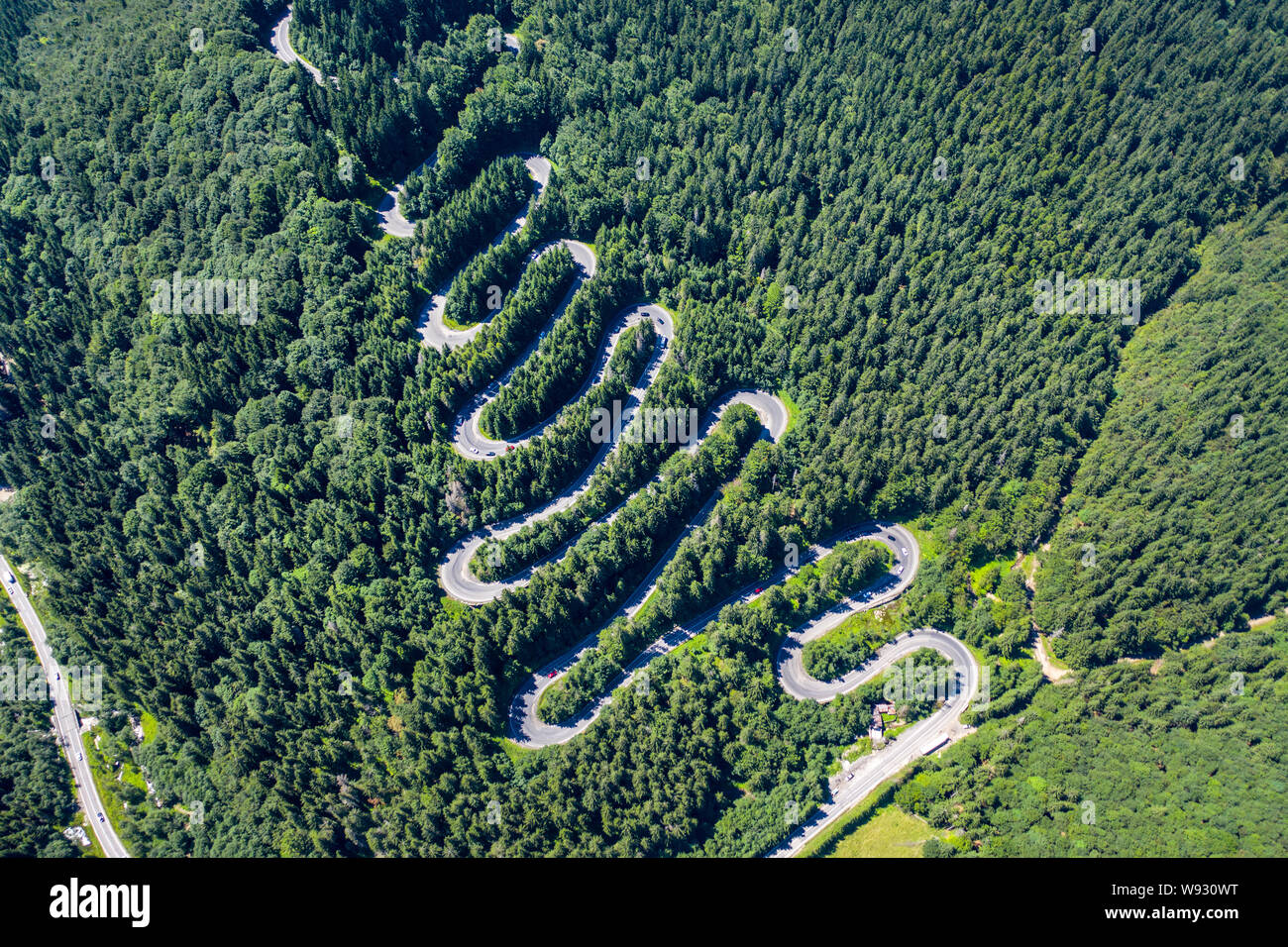Aerial top view of a winding road in green forest by drone Stock Photo ...