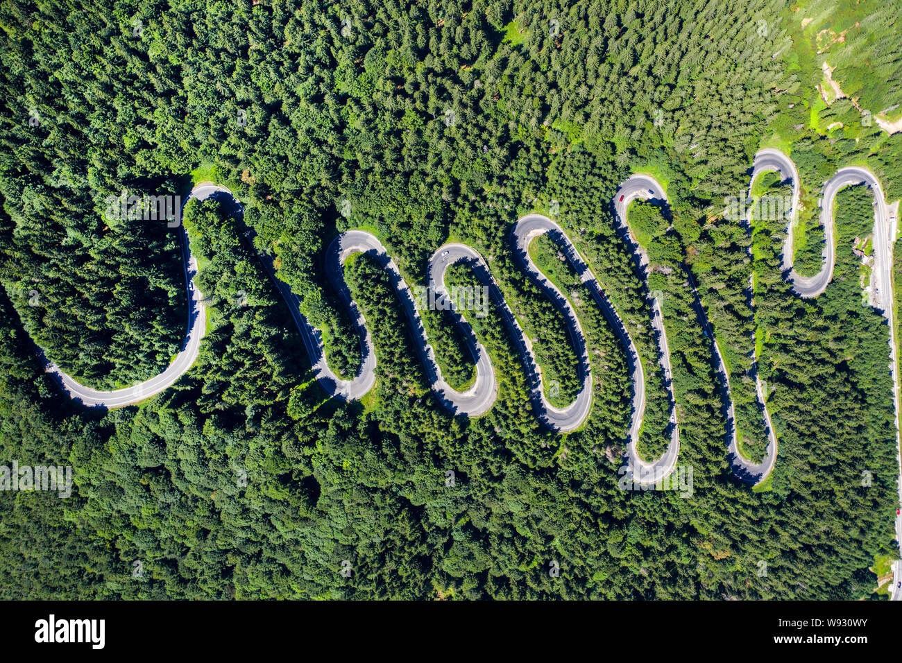 Aerial top view of a winding road in green forest by drone Stock Photo ...