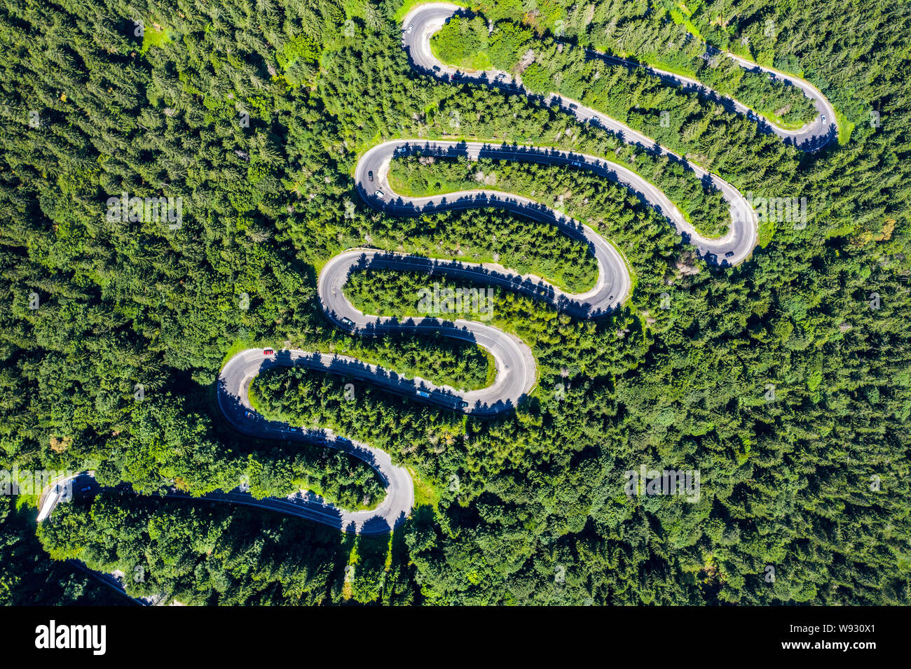 Aerial top view of a winding road in green forest by drone Stock Photo ...