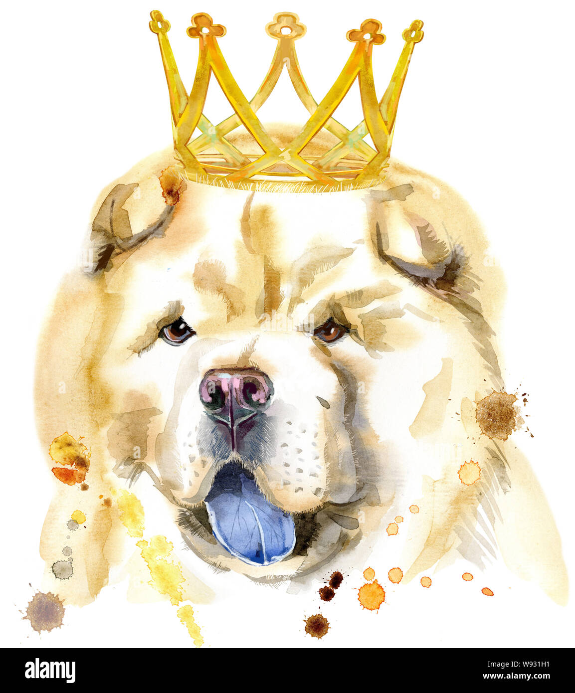 Chow chow dog drawing hi-res stock photography and images - Alamy