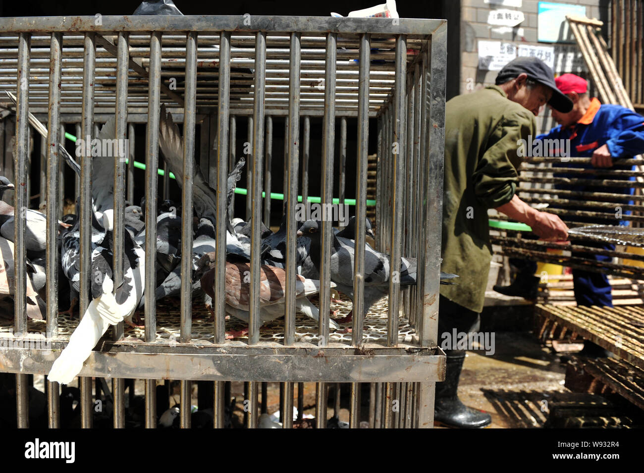 Clean cages hi-res stock photography and images - Alamy