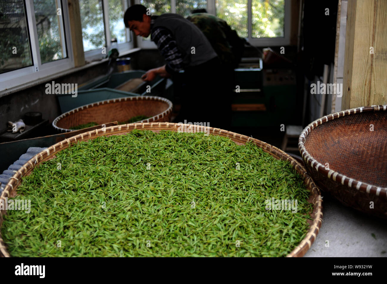 Hangzhou china dragon well tea hi-res stock photography and images - Alamy