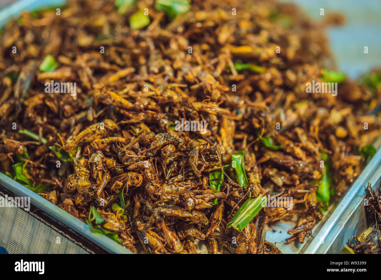 Fried insects, in the walking street market, Phuket Thailand Stock ...