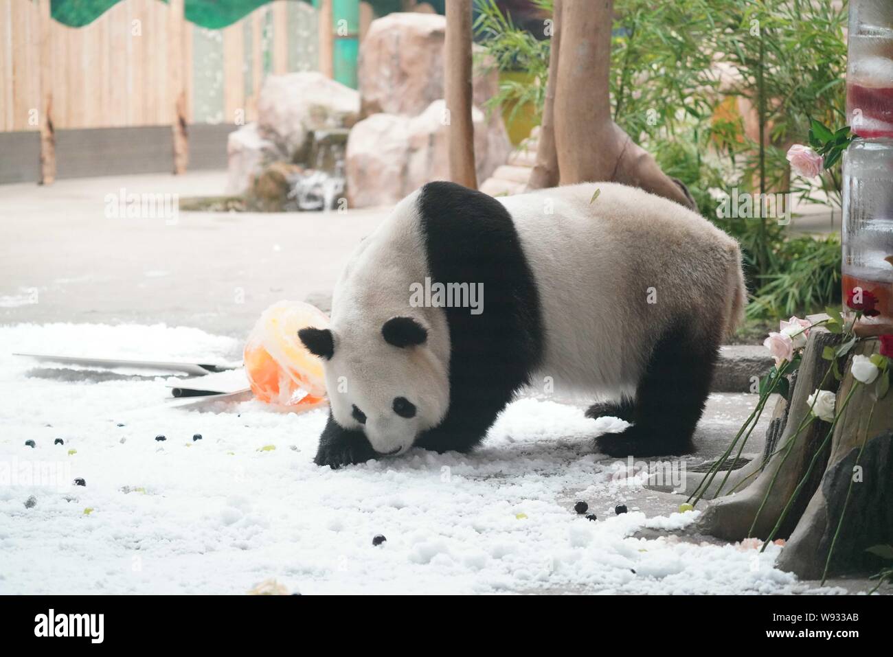 Birthday july 12 hi-res stock photography and images - Alamy