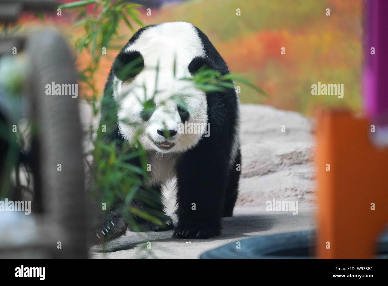 Birthday july 12 hi-res stock photography and images - Alamy