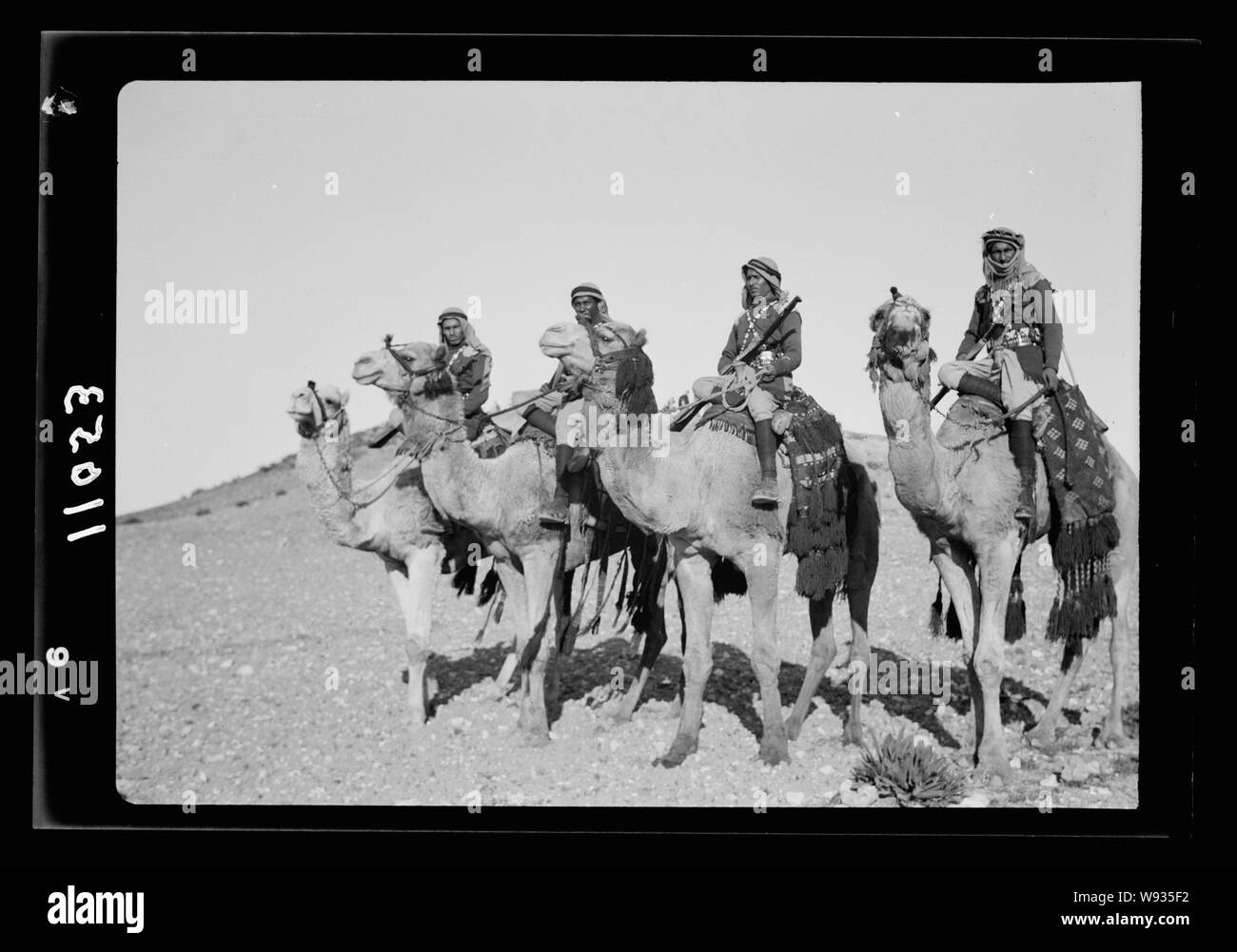 Camel Cavalry High Resolution Stock Photography and Images - Alamy