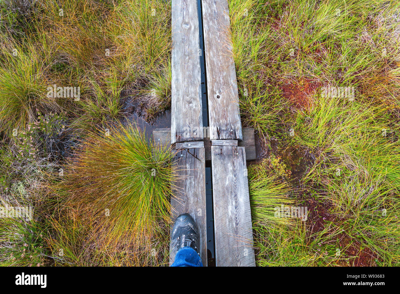 Bog shoe walking hi-res stock photography and images - Alamy