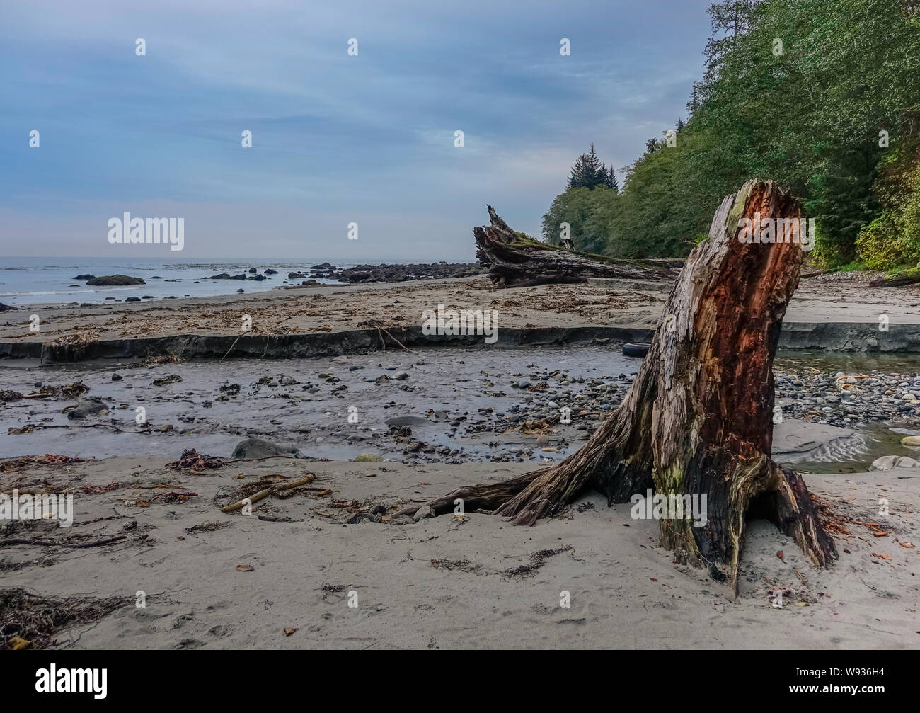 Neah hi-res stock photography and images - Alamy