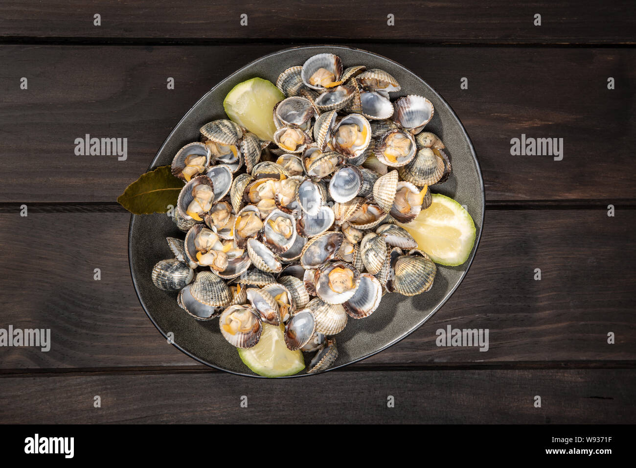 Cooked cockles ready to eat. Boiled seafood from Atlantic Ocean Galicia ...