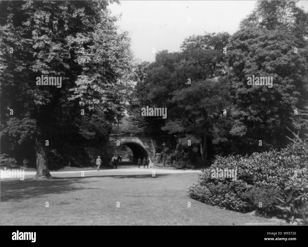 A view in Prospect Park, Brooklyn, New York City Stock Photo - Alamy