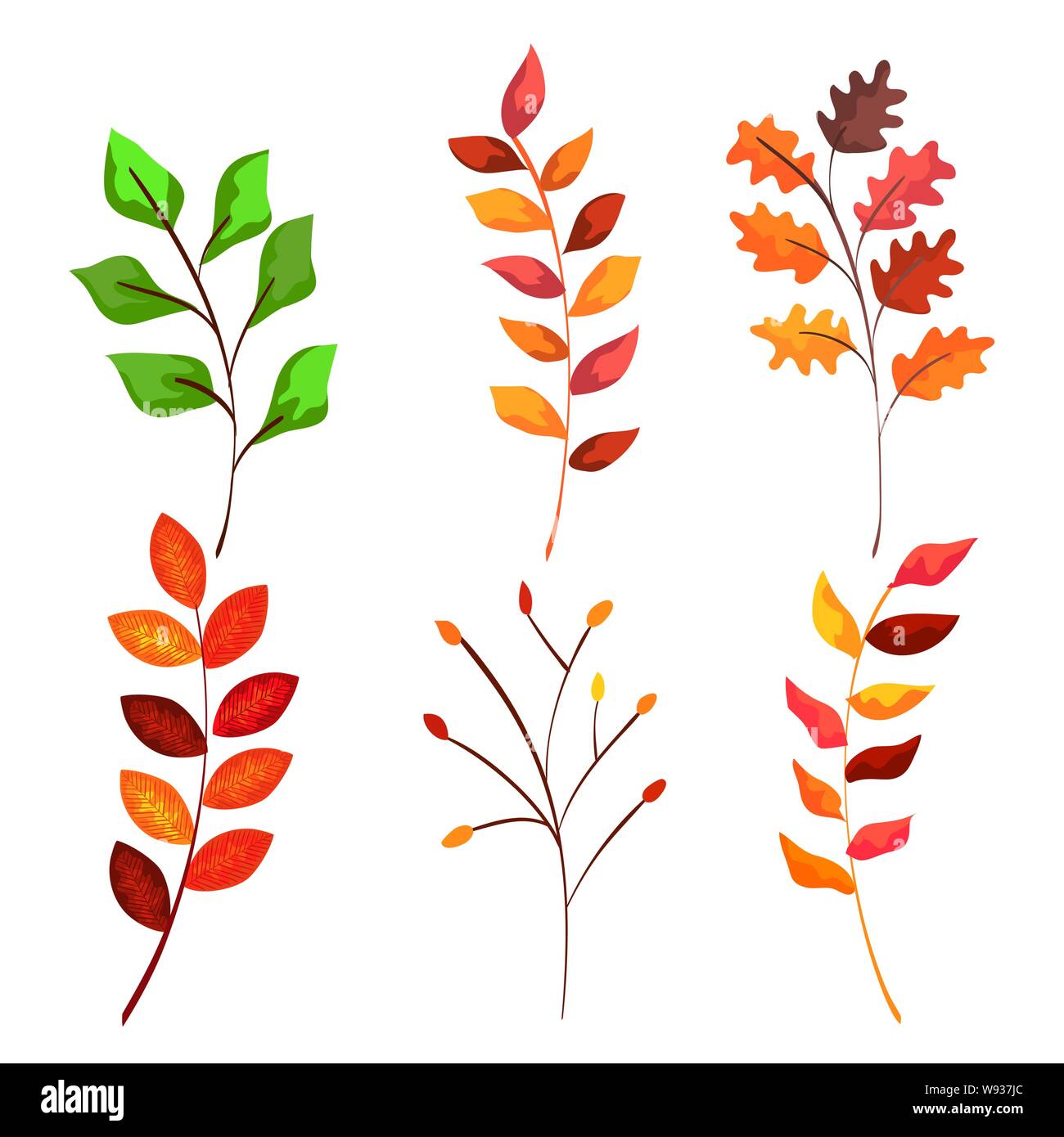 set of branches leaves plants style Stock Vector Image & Art - Alamy
