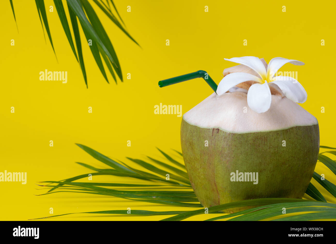 World coconut day. Fresh coconut with palm leaves on yellow table ...