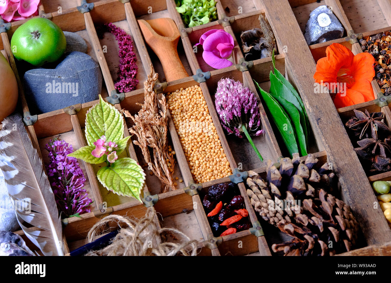 Poppy collection box hi-res stock photography and images - Alamy