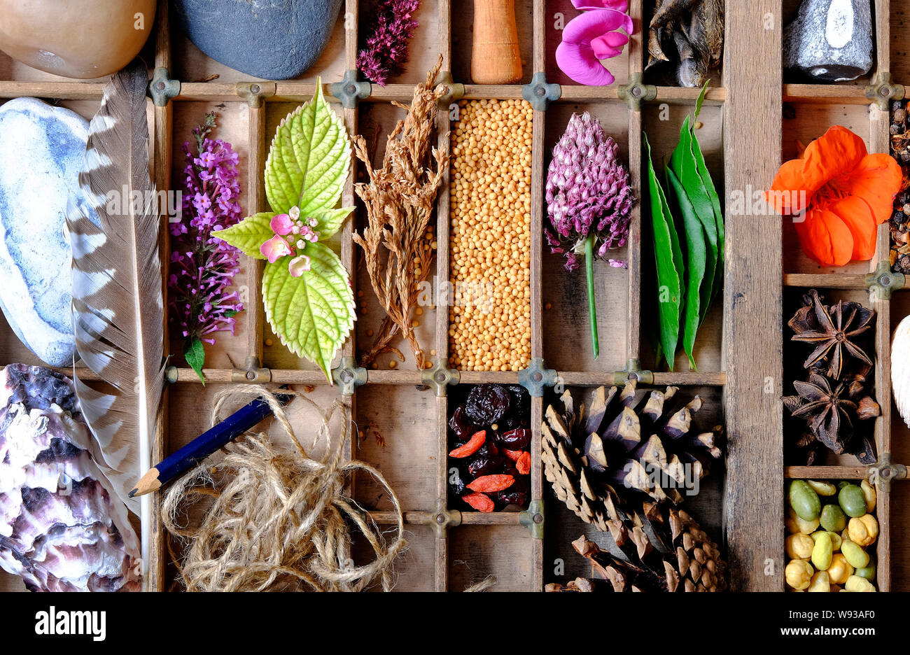 Poppy collection box hi-res stock photography and images - Alamy