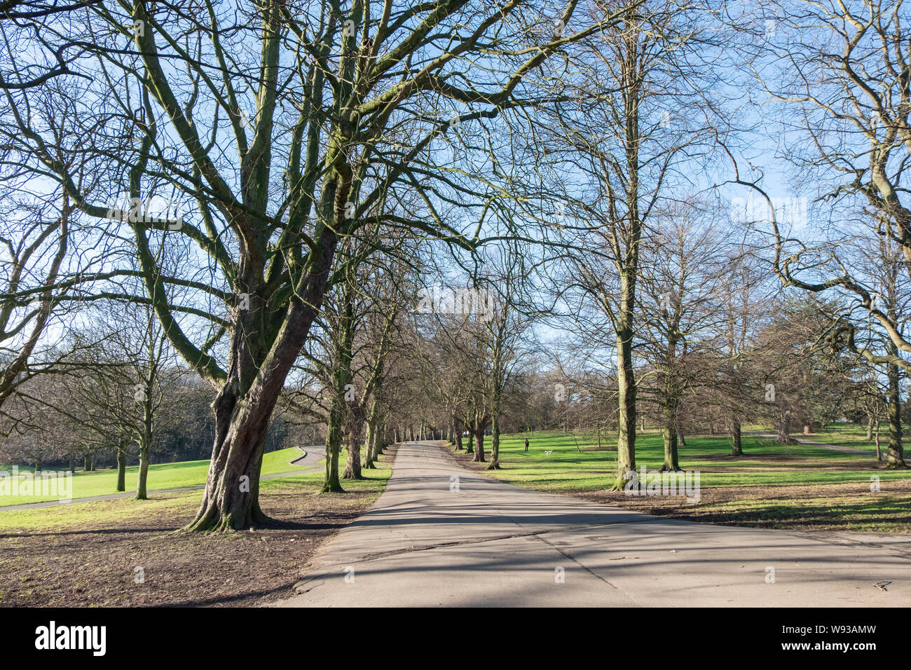 Roundhay Park, Leeds, United Kingdom. One of the largest Parks in ...