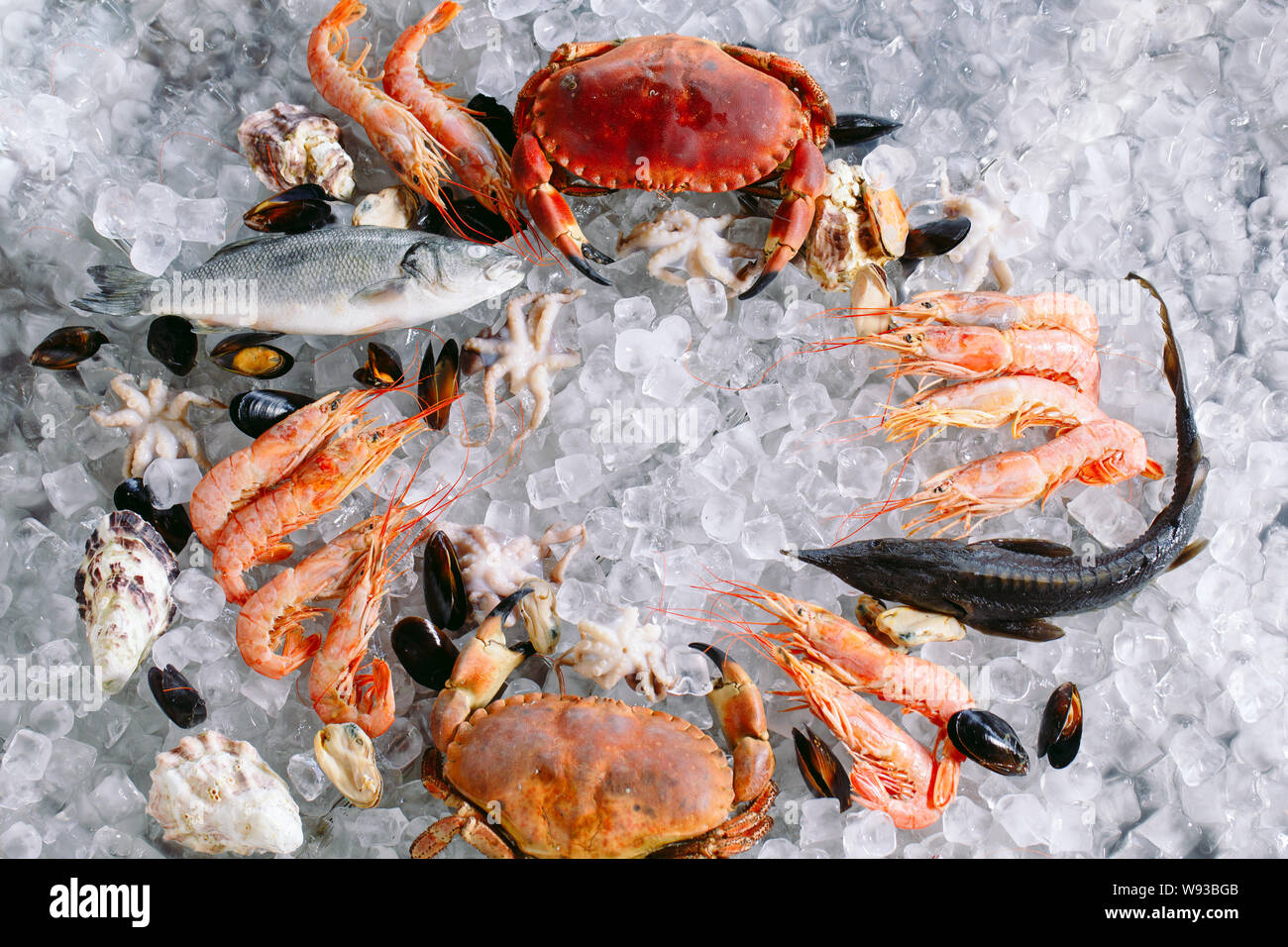 Crabs head hi-res stock photography and images - Alamy