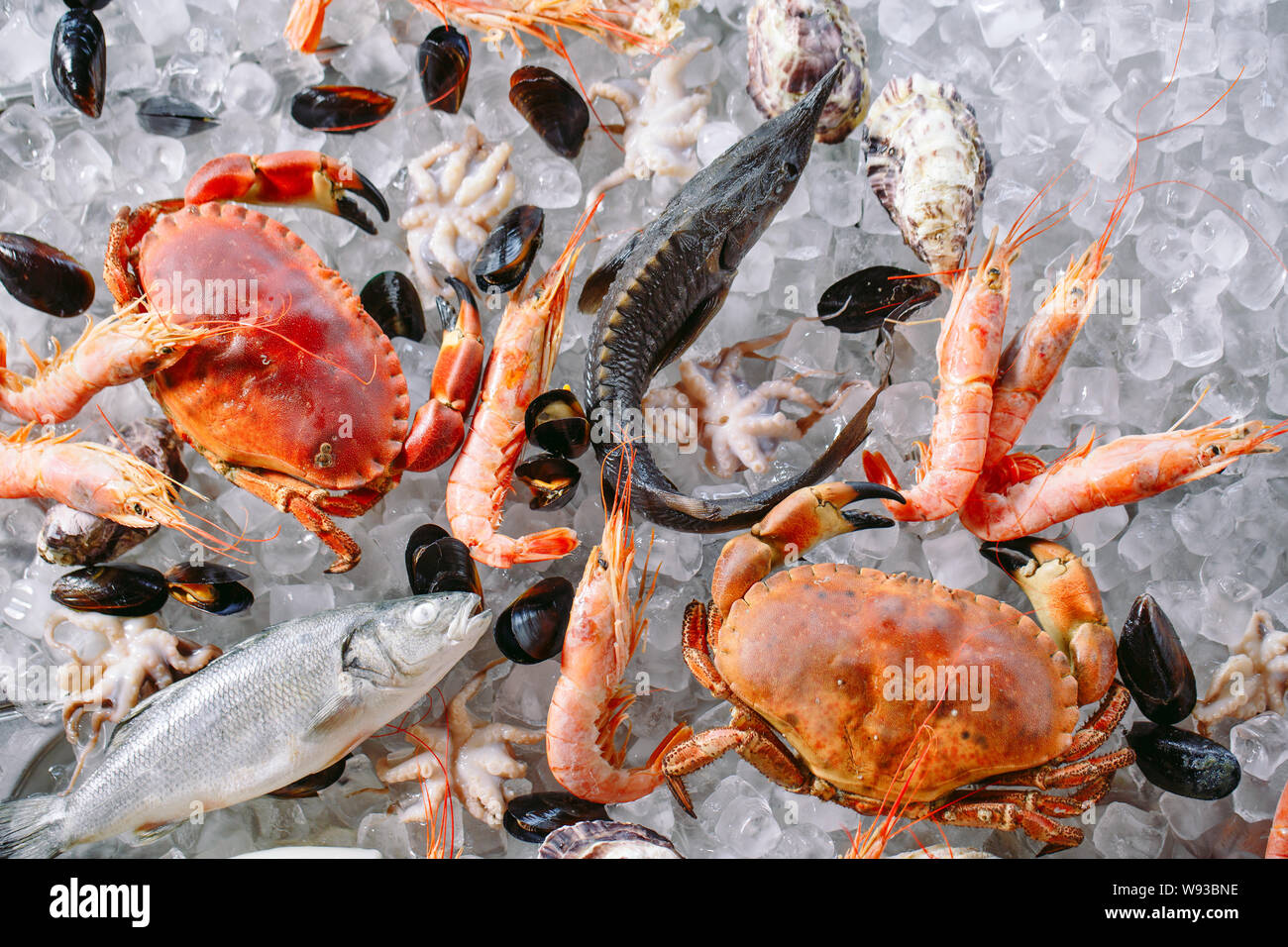 Seafood on ice. Crabs, sturgeon, shellfish, shrimp, Rapana, Dorado, on ...