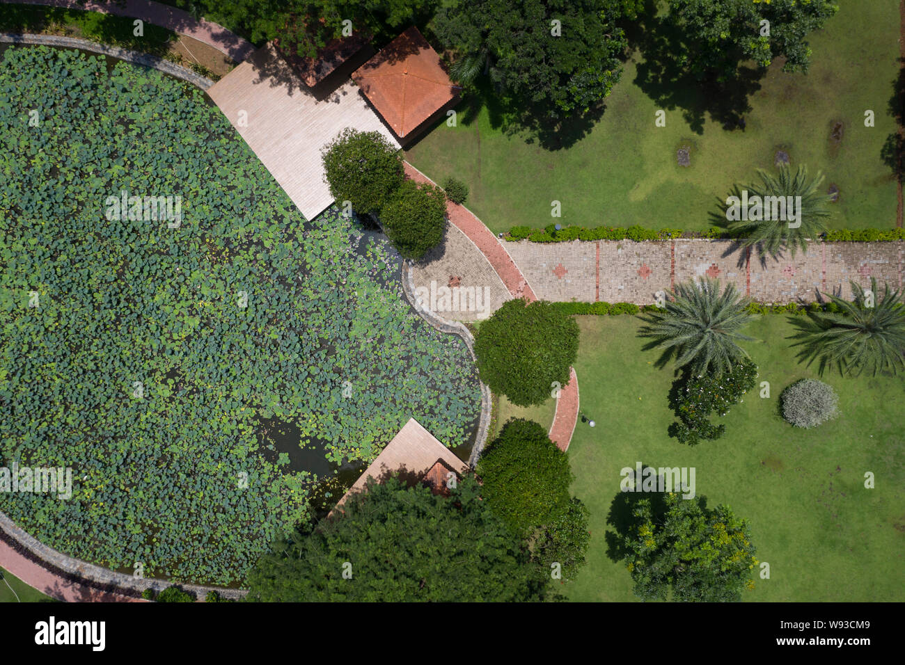 aerial view of modern urban park featuring lakes, lush gardens, bridges ...