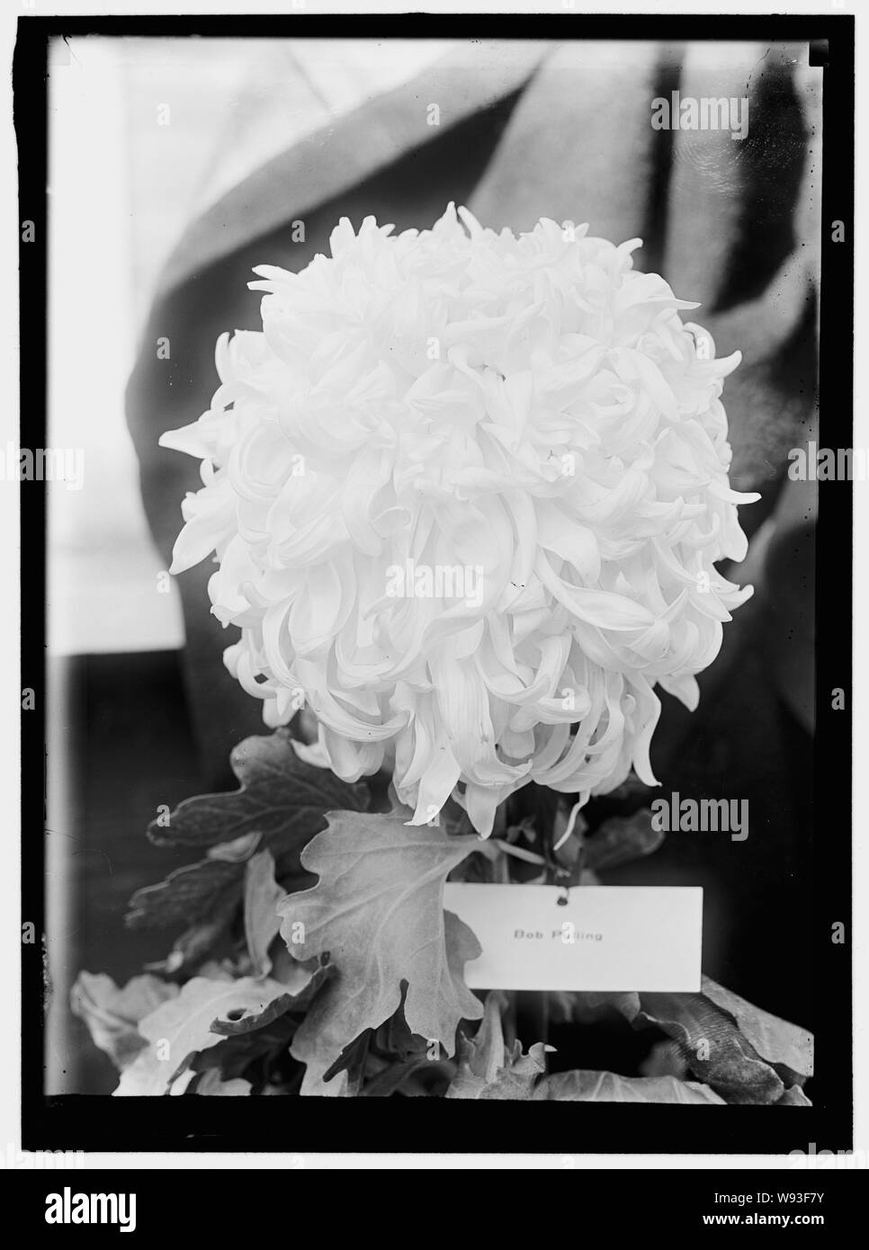 Agriculture department Black and White Stock Photos & Images - Alamy