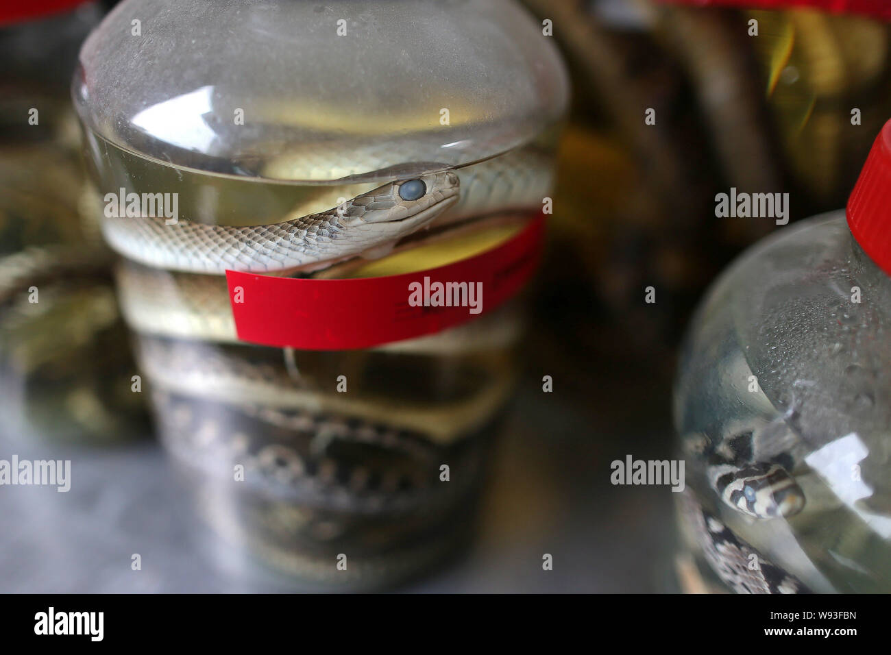 File of jars hi-res stock photography and images - Alamy