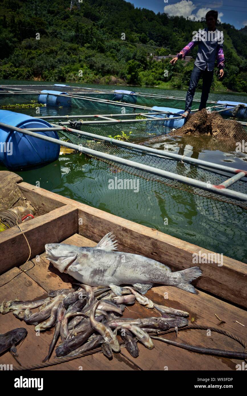 Dangerous chemicals hi-res stock photography and images - Alamy