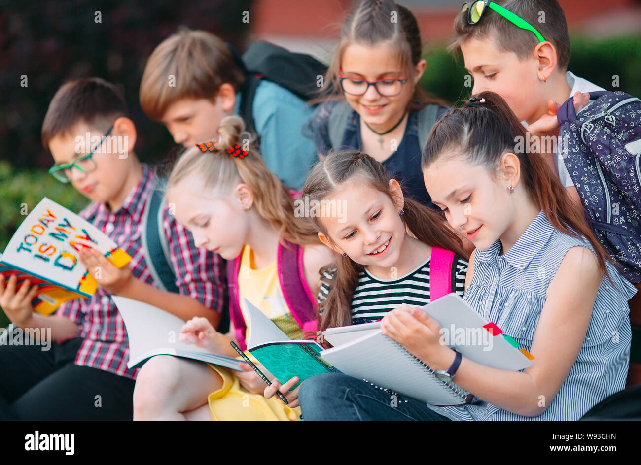 Happy Schoolmates Portrait. Schoolmates seating with books in a wooden ...