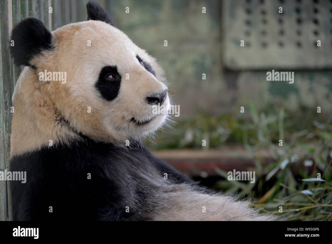 Chinas gansu province lanzhou hi-res stock photography and images - Alamy