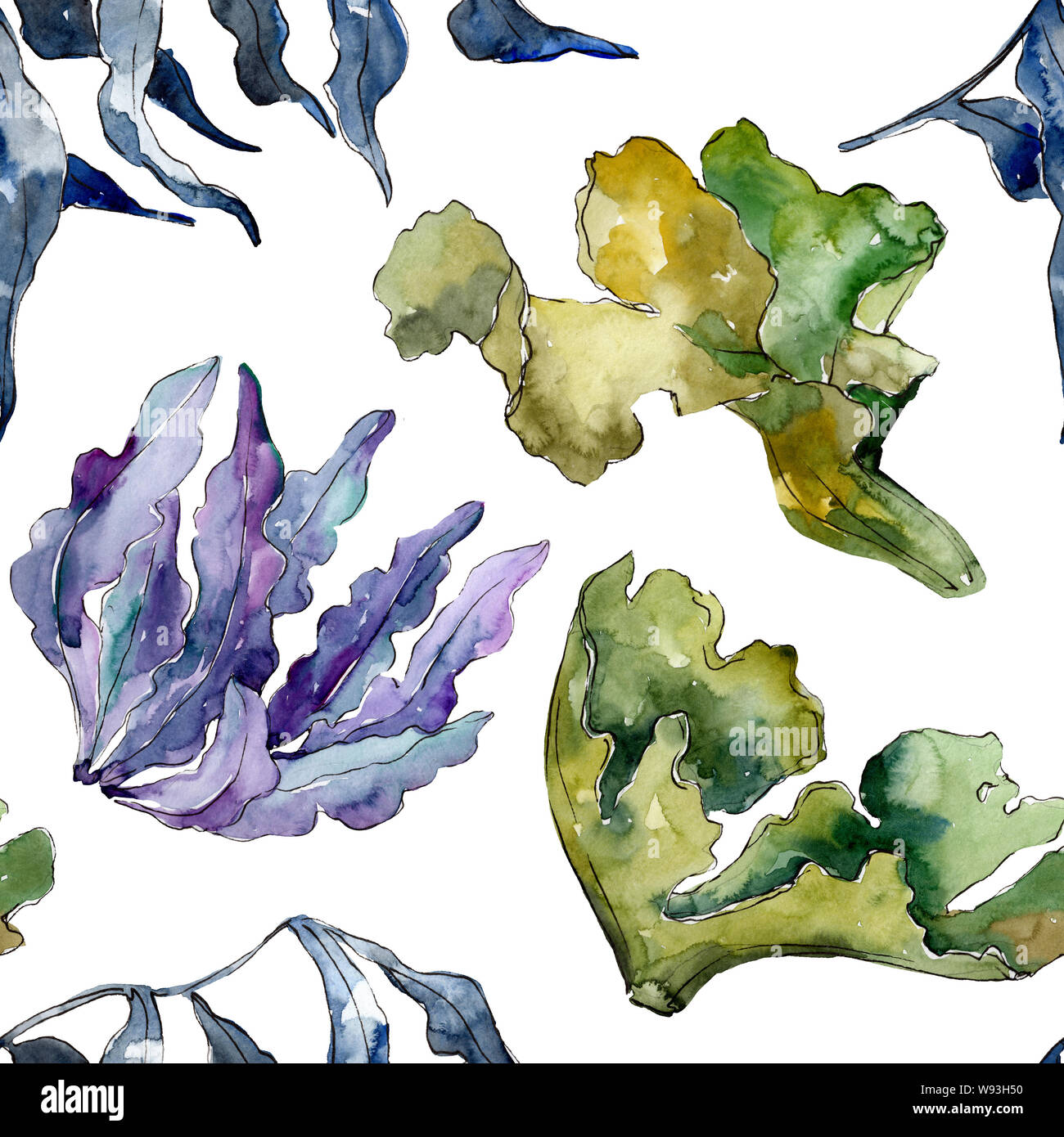 Coral reef Cut Out Stock Images & Pictures - Alamy