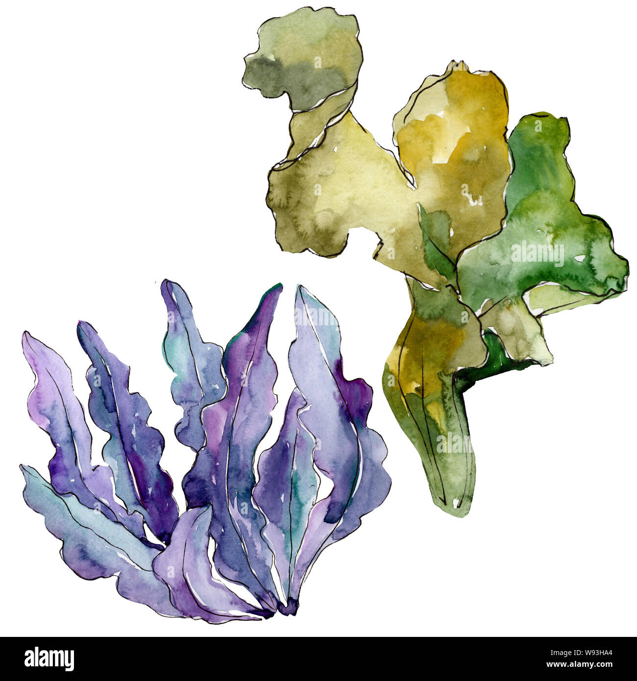 Green and blue aquatic nature coral reef. Tropical plant sea and ocean ...