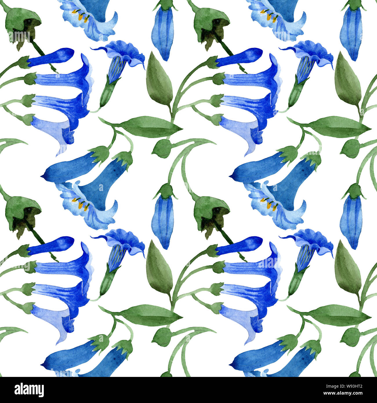 Blue brugmansia floral botanical flowers. Wild spring leaf wildflower ...