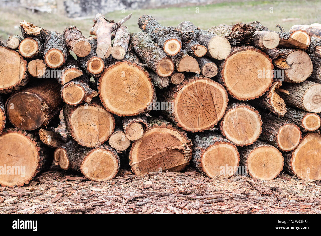 Wooden natural cut logs for harvesting for the winter Stock Photo - Alamy