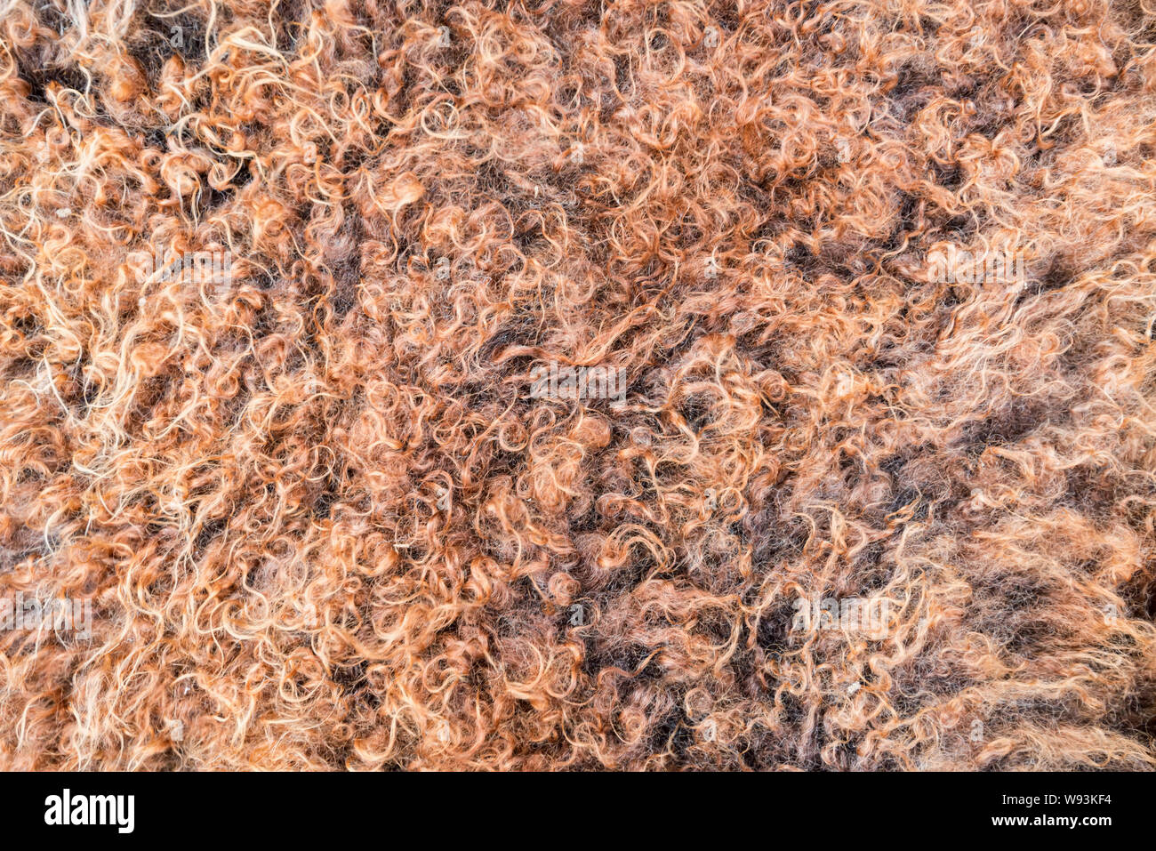 Close up of natural brown fur texture background Stock Photo - Alamy