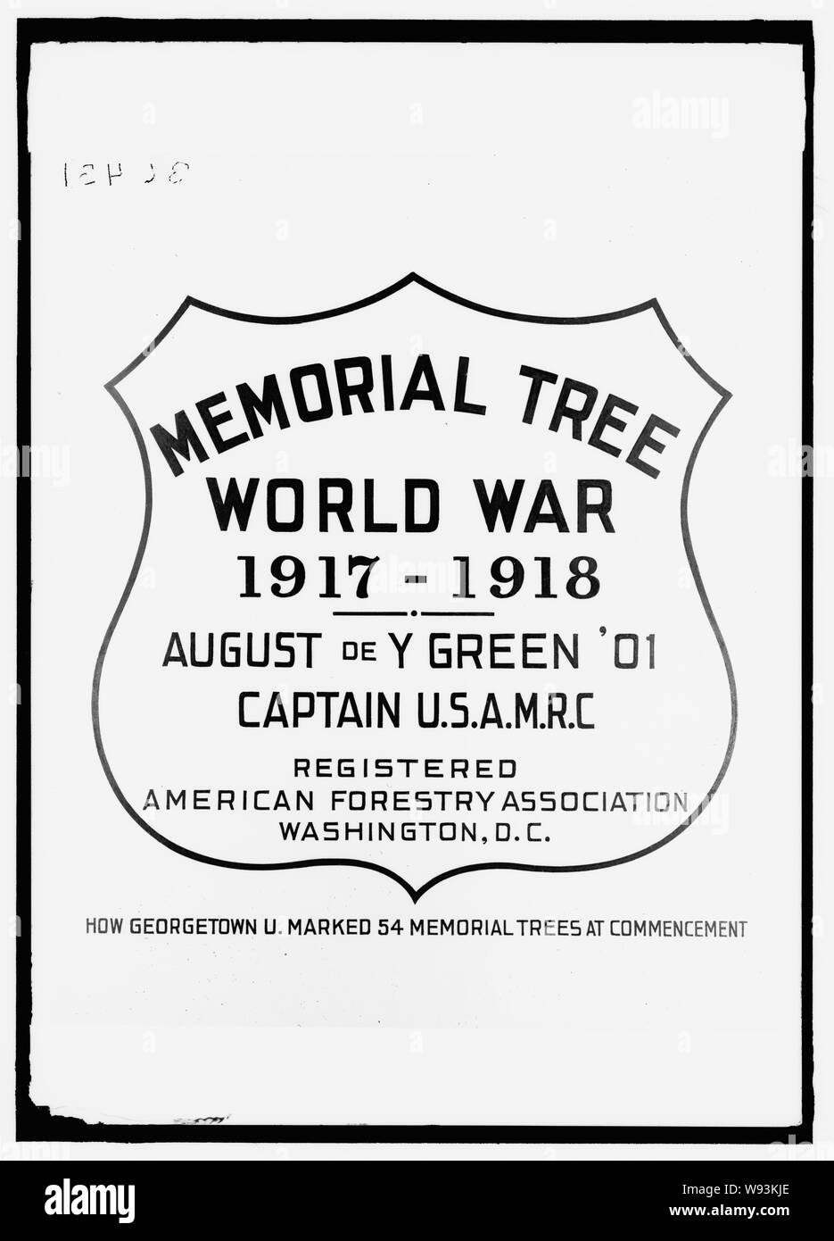 American tree association hi-res stock photography and images - Alamy