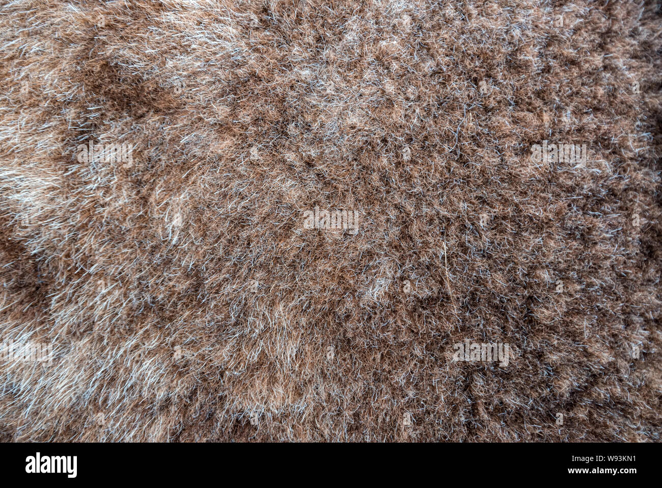 Close up of natural brown fur texture background Stock Photo - Alamy