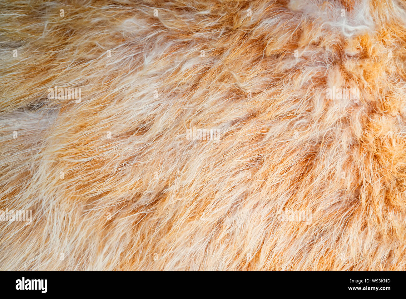 Close up of natural brown fur texture background Stock Photo - Alamy