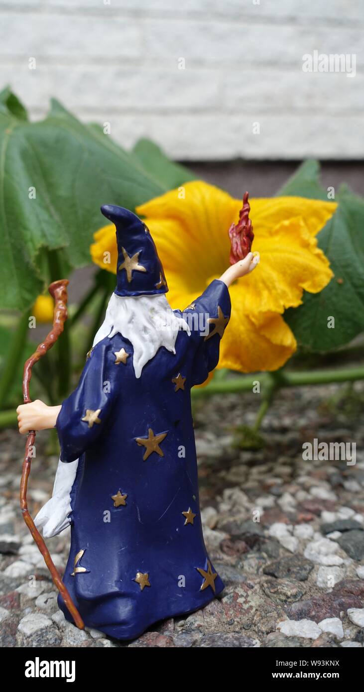 photograph representing Merlin the magician Stock Photo - Alamy