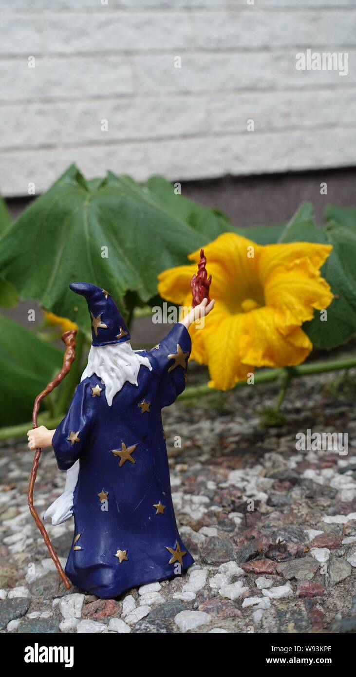 photograph representing Merlin the magician Stock Photo - Alamy